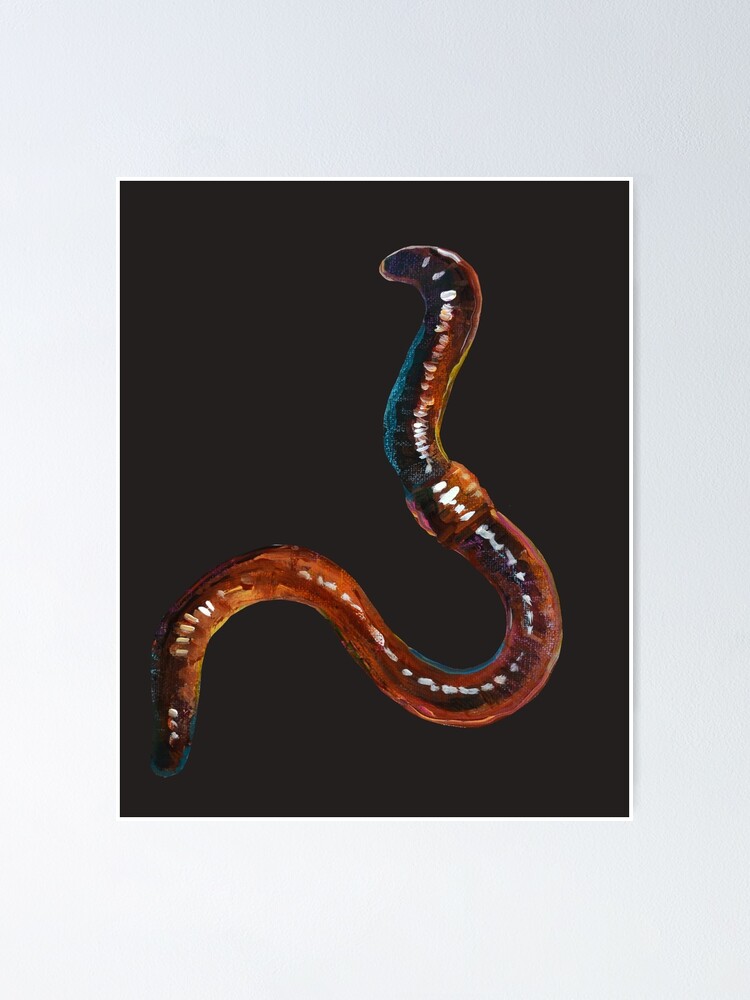 "Creepy Cute Earthworm Sticker" Poster for Sale by RobertPhelpsArt ...