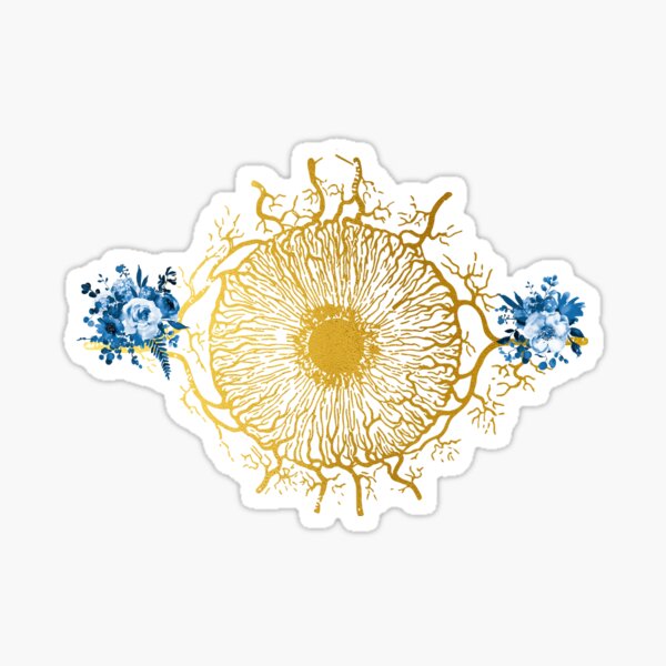 "Iris, Human Eye" Sticker for Sale by erzebetth | Redbubble