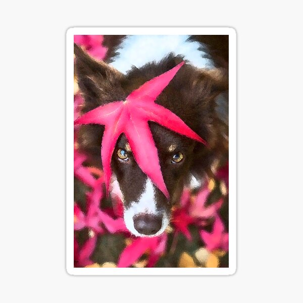 "Autumn has Fallen" Sticker by RyderDesign | Redbubble