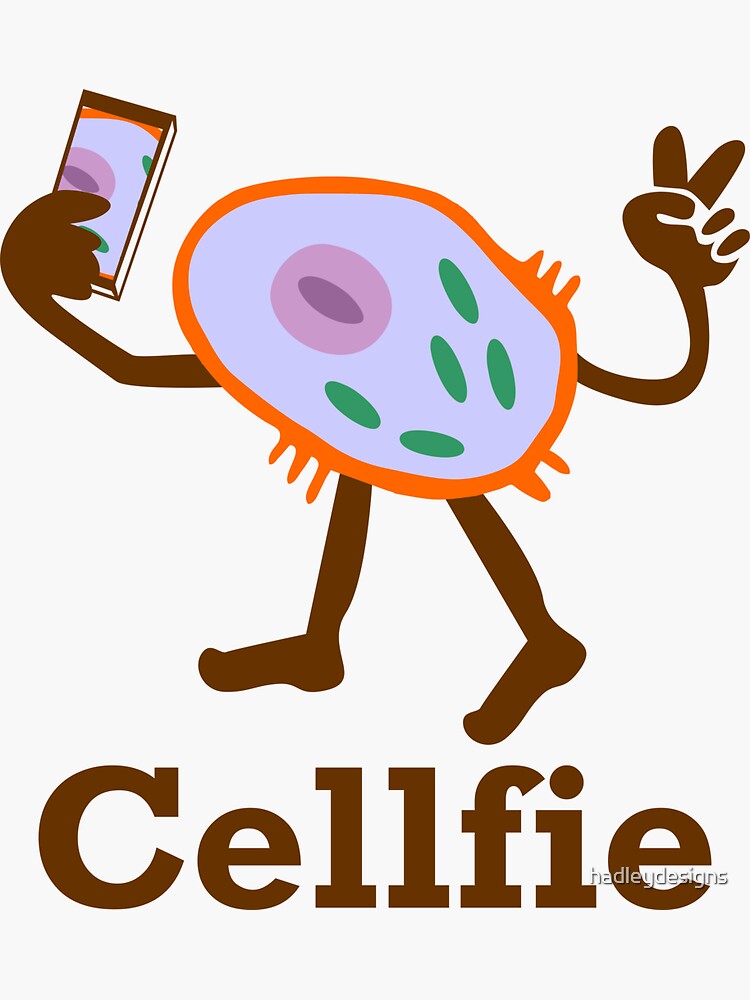 "CellFie selfie funny biology Science Teacher gift" Sticker for Sale by ...