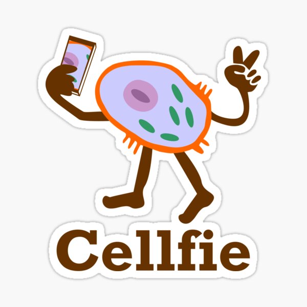 "CellFie selfie funny biology Science Teacher gift" Sticker for Sale by ...