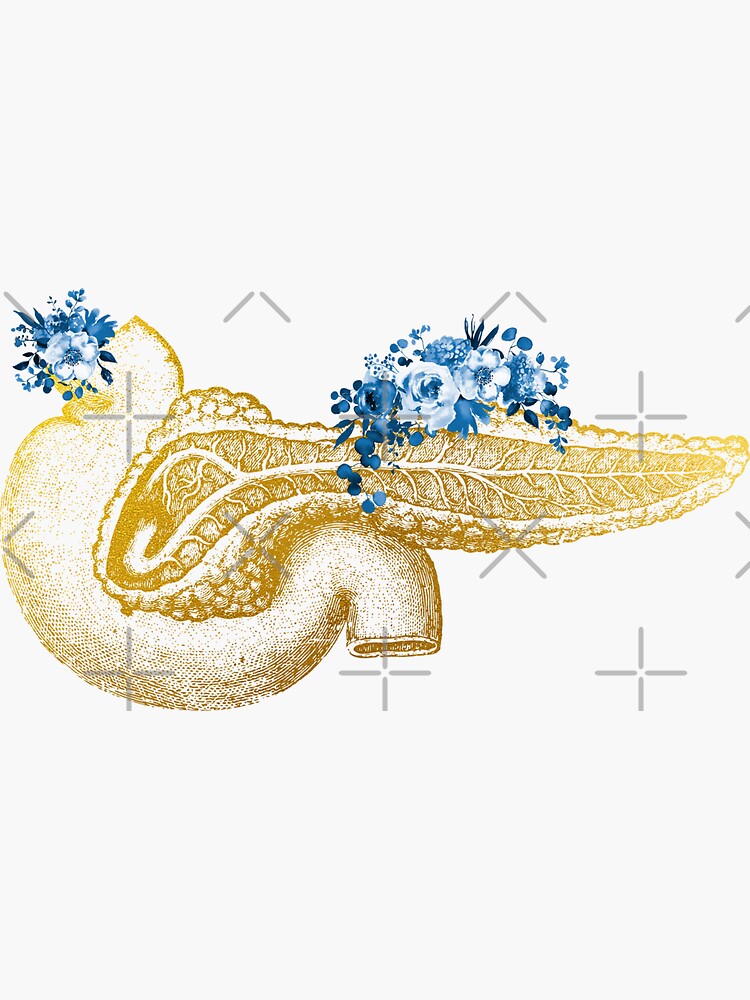 "Pancreas" Sticker for Sale by erzebetth | Redbubble