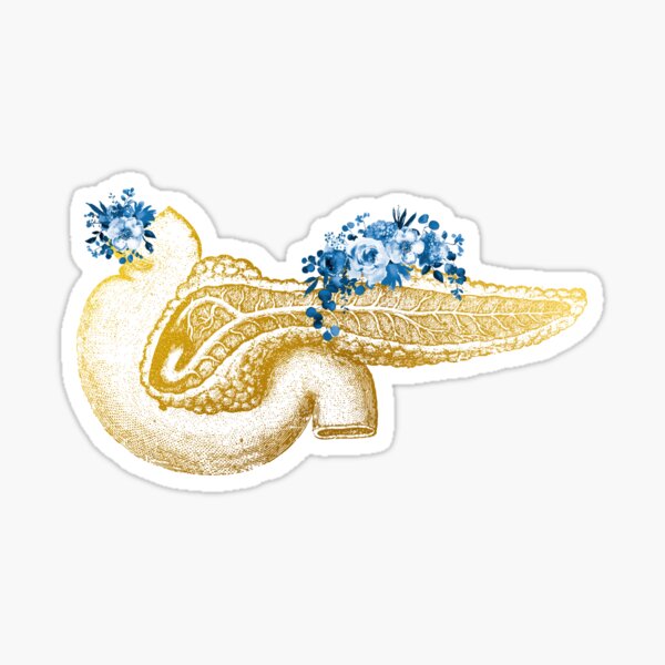"Pancreas" Sticker for Sale by erzebetth | Redbubble
