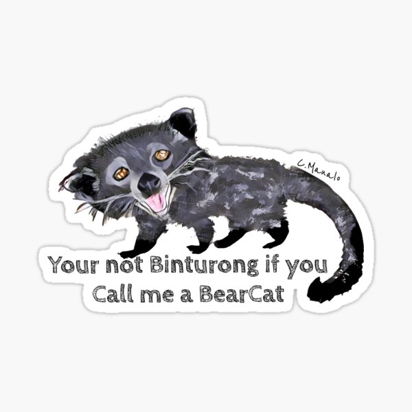 Binturong Merch & Gifts for Sale | Redbubble
