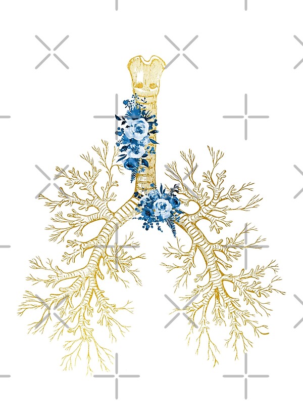 "Bronchial tree" by erzebetth | Redbubble