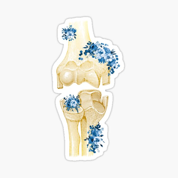 "Elbow" Sticker for Sale by erzebetth | Redbubble
