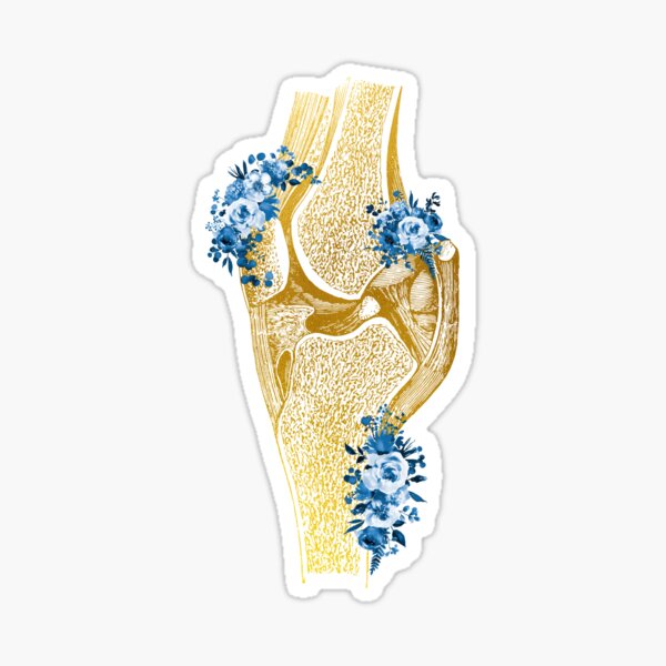 "Knee bone" Sticker by erzebetth | Redbubble