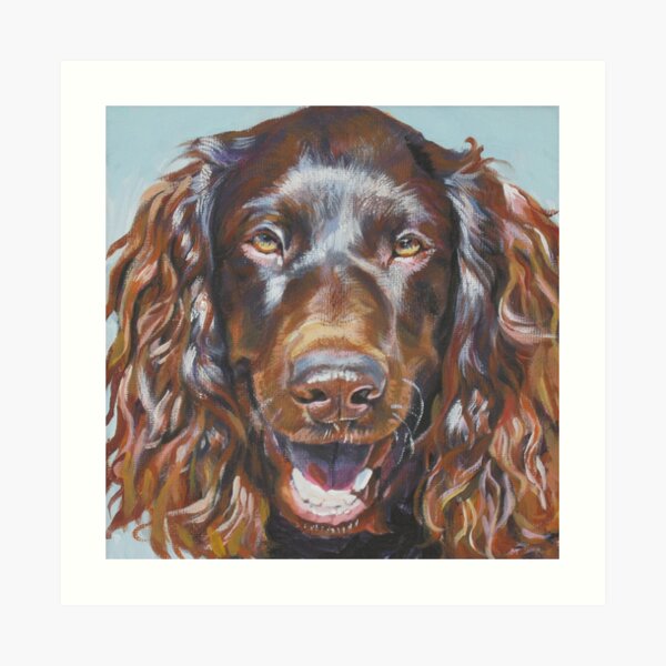 Boykin Spaniel Art Prints | Redbubble