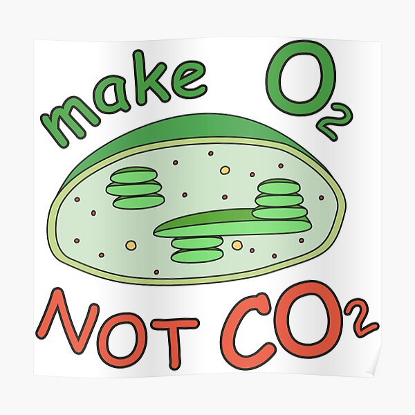 Chloroplast Posters | Redbubble
