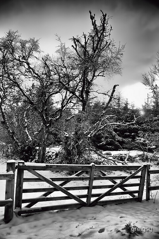 "Wee Gate BW" by greigsy | Redbubble