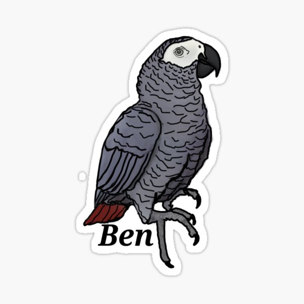 Craft Supplies & Tools Scrapbooking Outdoor Quality 1-3pc Package ...