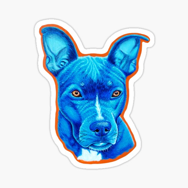 "Blue Pittie Portrait" Sticker by JadedCicada | Redbubble