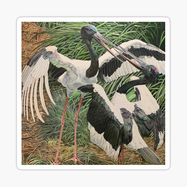 "Doing The Jabiru" Sticker for Sale by SamsGallery | Redbubble