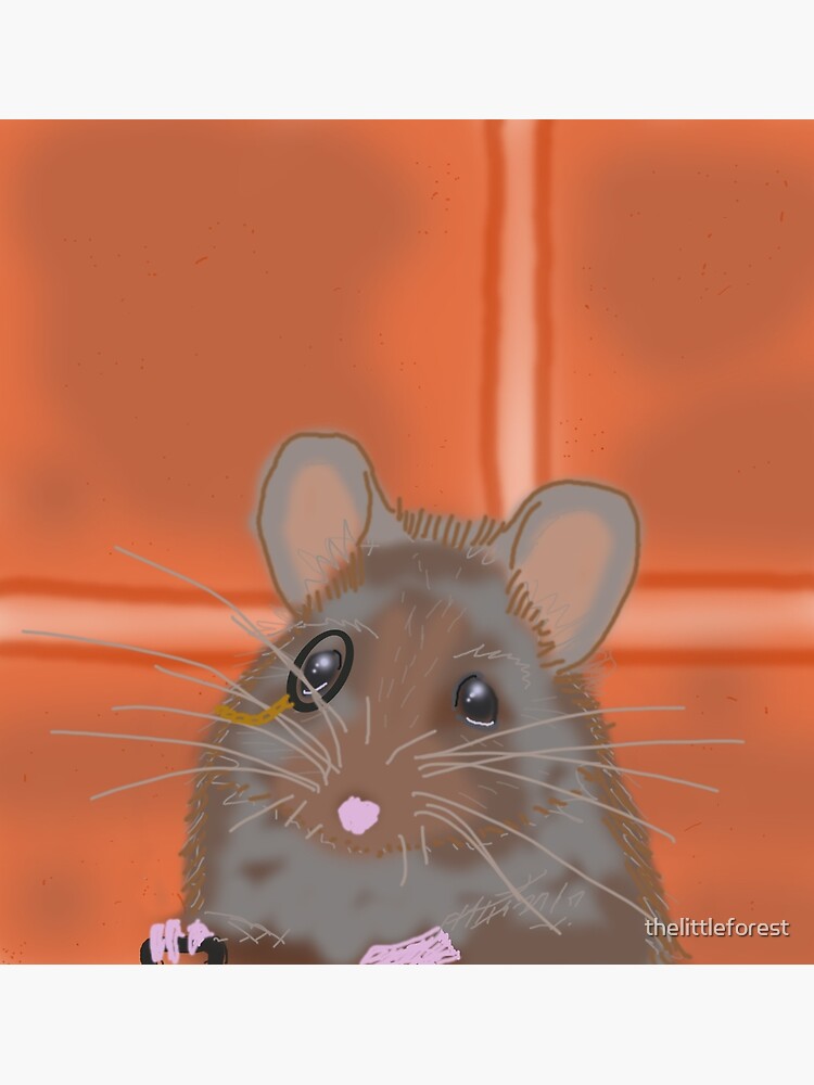 "Sir Mousy" Poster for Sale by thelittleforest | Redbubble