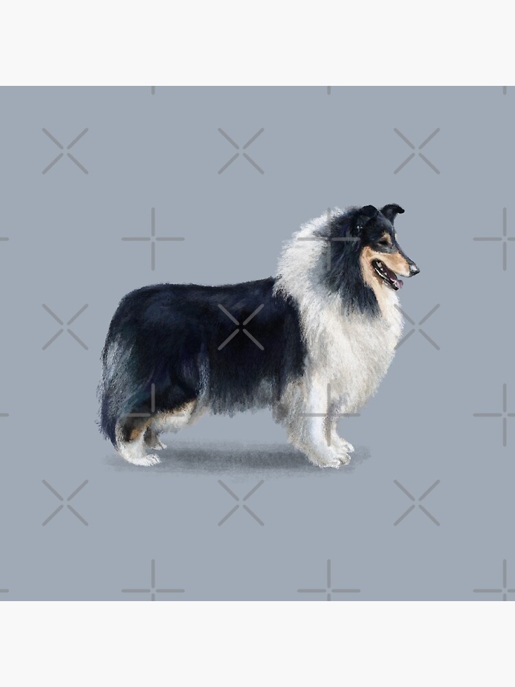 "Tri Coloured Rough Collie" Art Print for Sale by elspethrose | Redbubble