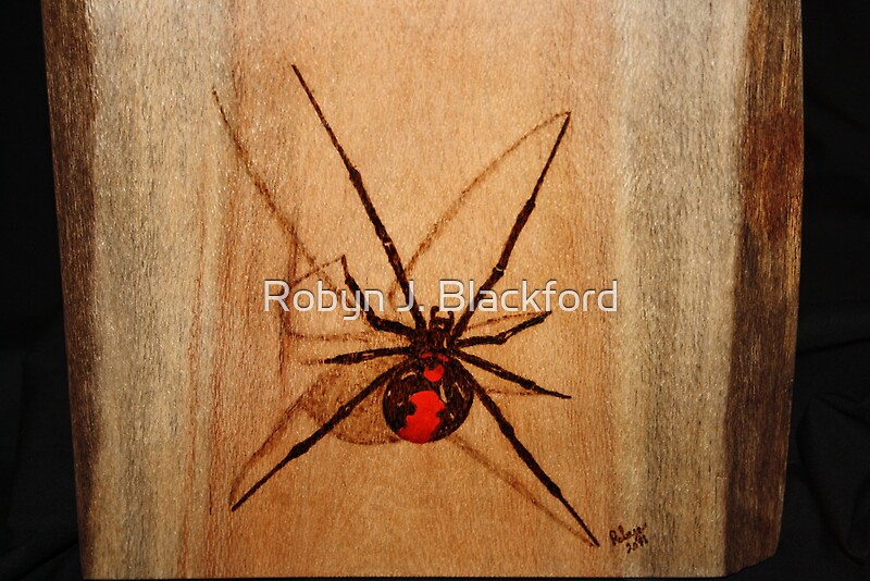 "Australian Redback" by Robyn J. Blackford | Redbubble
