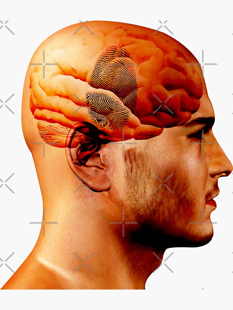 "Identification" Sticker for Sale by rolffimages | Redbubble