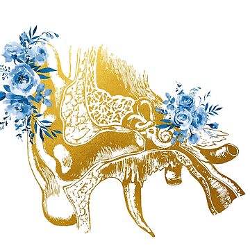 "Human ear" Sticker for Sale by erzebetth | Redbubble