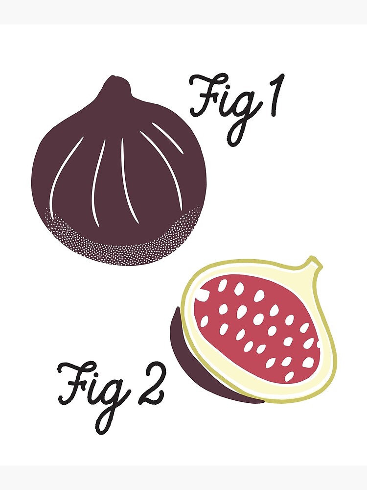 "Fig 1 Fig 2 Funny Science Illustration" Poster by awkwarddesignco ...