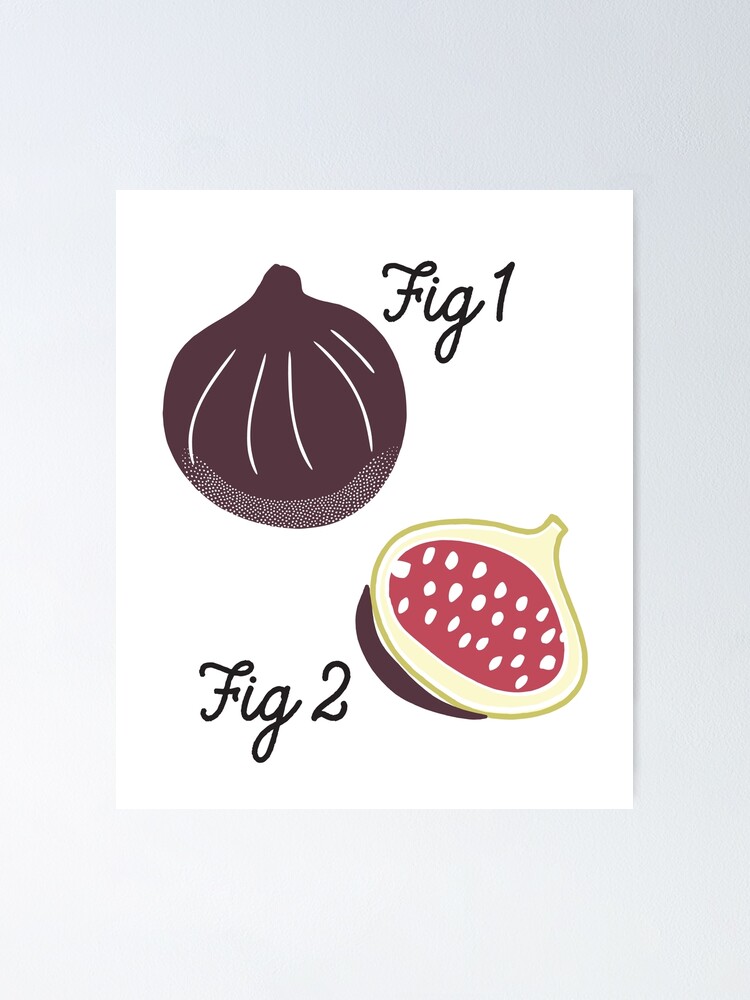 "Fig 1 Fig 2 Funny Science Illustration" Poster by awkwarddesignco ...