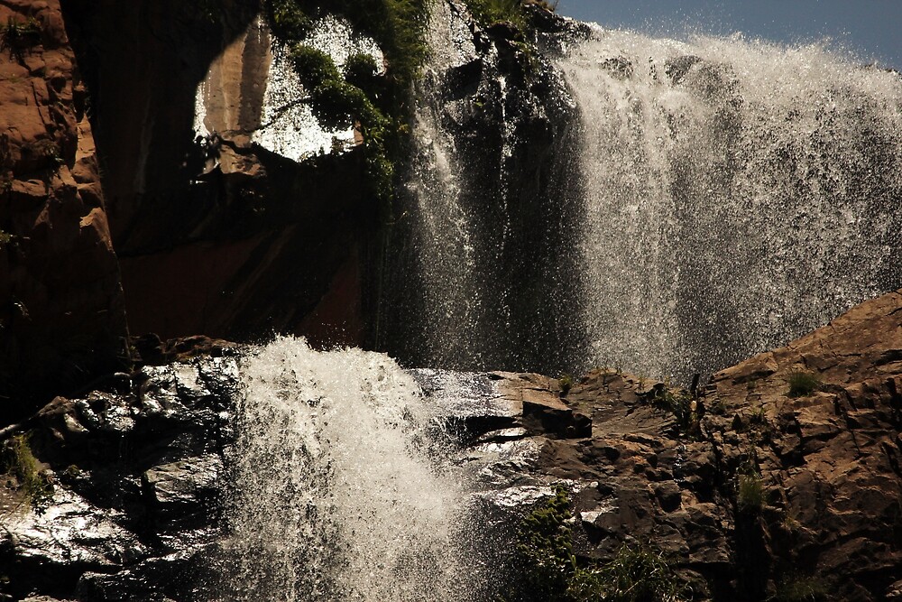 "Waterfall at Roodepoort Botanical Gardens, South Africa" by ...