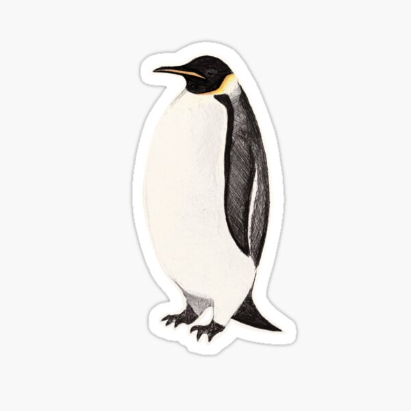 bird sticker vinyl sticker waterproof sticker animal sticker Penguin ...