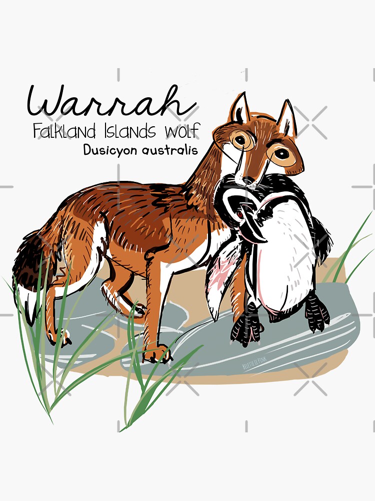 "Falkland Islands Wolf" Sticker for Sale by belettelepink | Redbubble