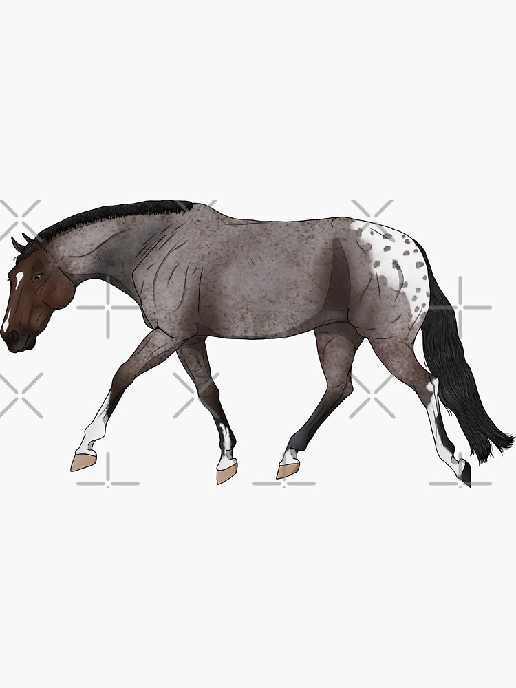 "Stock Horse 5- Snowcap Bay Red Roan " Sticker for Sale by ...