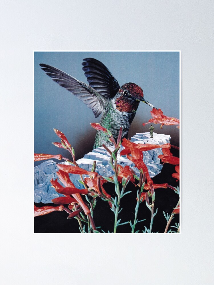 "Bird Trainer" Poster for Sale by lerson | Redbubble