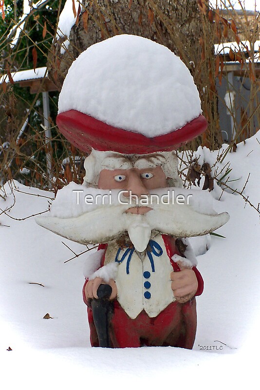 "Colonel Reb Is Not Amused" by Terri Chandler | Redbubble