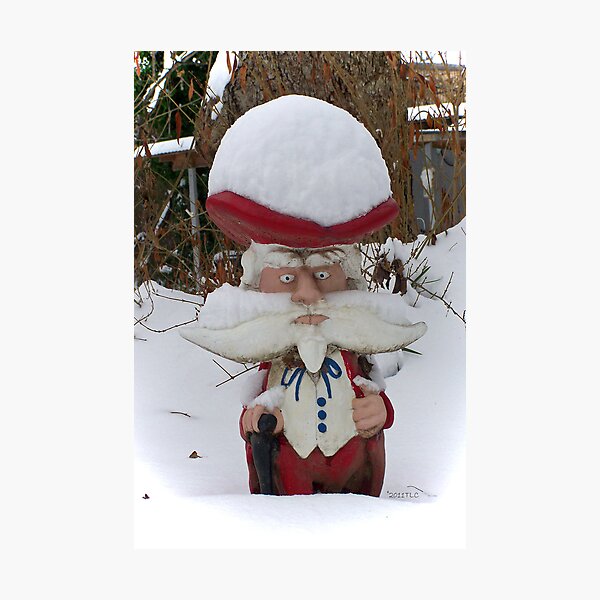 Colonel Miss Ole Reb Gifts & Merchandise | Redbubble