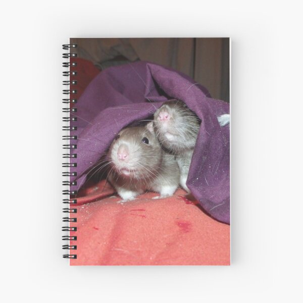 "hidden rats" Spiral Notebook for Sale by mindgoop | Redbubble