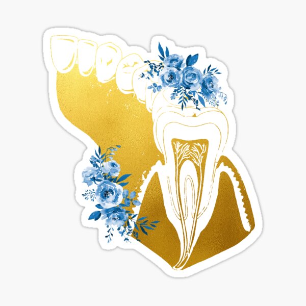 "Molar Tooth Section" Sticker for Sale by erzebetth | Redbubble