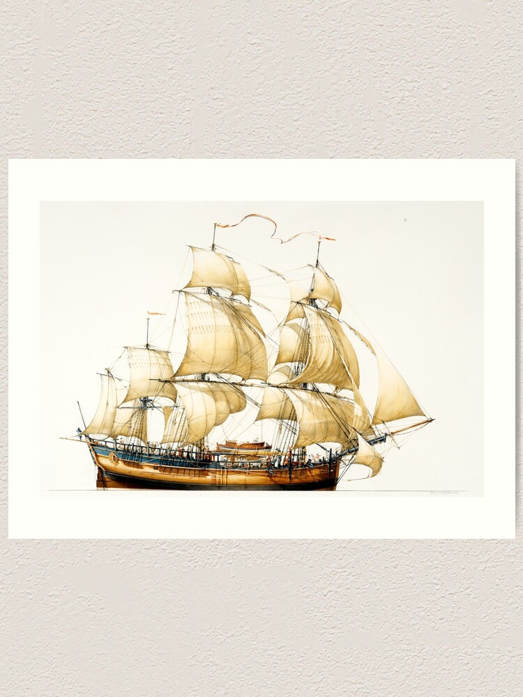 "HMB Endeavour - Ross Shardlow" Art Print for Sale by anmm | Redbubble
