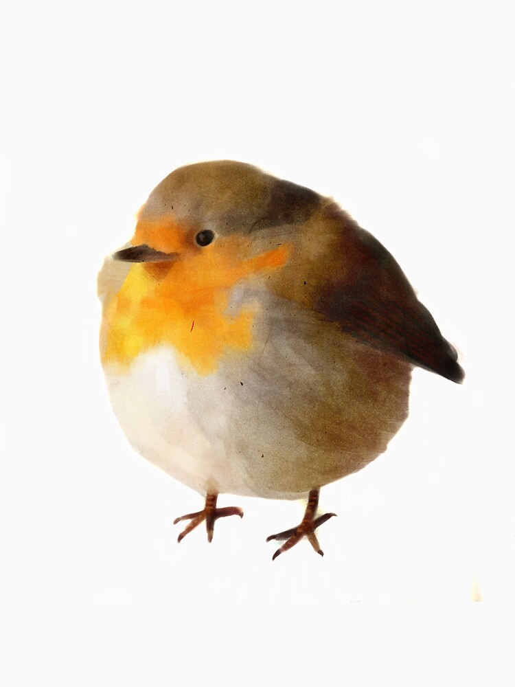 chubby Bird T shirt For Sale By Tiuh Redbubble Birds T shirts chubby-bird-t-shirt-for-sale-by-tiuh-redbubble-birds-t-shirts