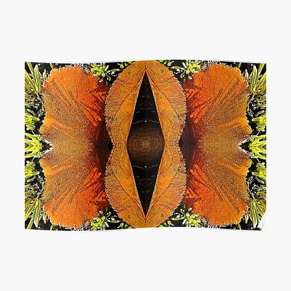 "Giant Clam" Poster for Sale by SherrieHall | Redbubble