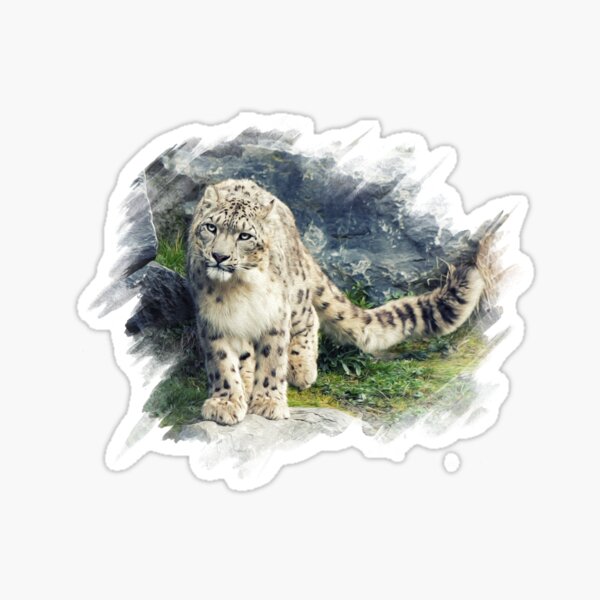 "Snow Leopard" Sticker by Pearcatprod | Redbubble