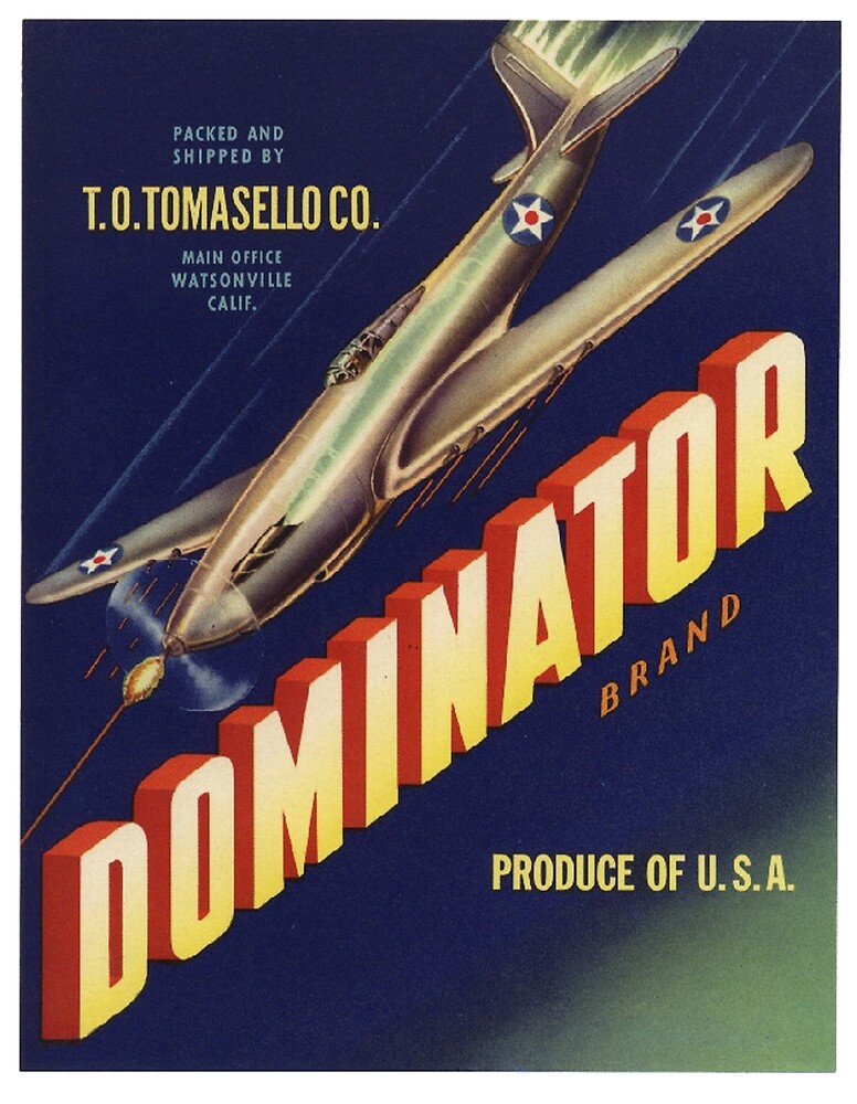 "Vintage Food Crate Label Dominator WWII Fighter Aircraft Fruit ...
