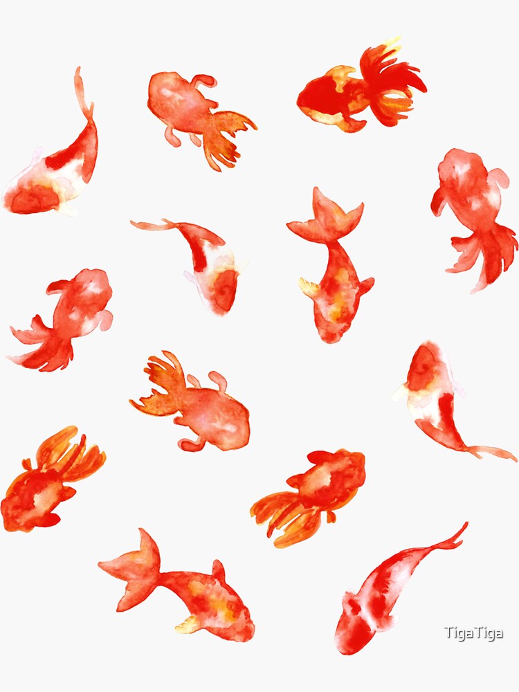 "Watercolor Goldfish" Sticker for Sale by TigaTiga | Redbubble