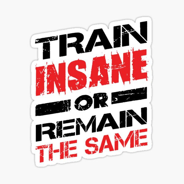 "Gym Bodybuilding for Bodybuilding and Fitness Training White ...