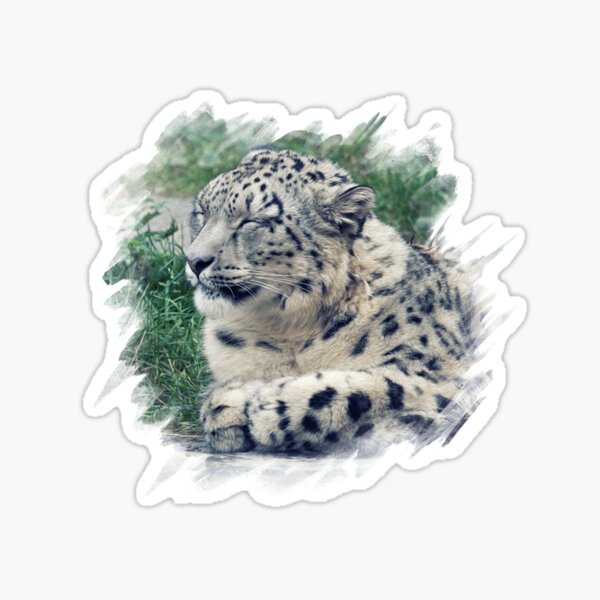 "Snow Leopard" Sticker for Sale by Pearcatprod | Redbubble