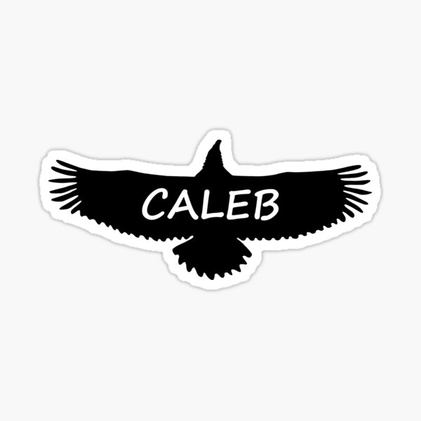"Caleb Eagle" Sticker for Sale by gulden | Redbubble