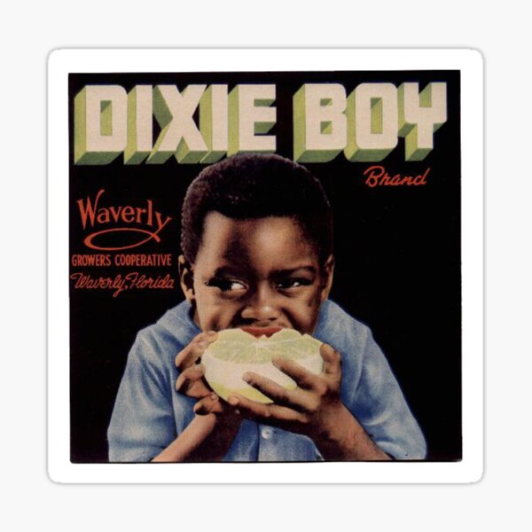 "Vintage Food Crate Label Dixie Boy Citrus Florida Eating Fruit ...