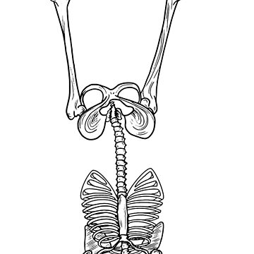 "Phalanx Stand - Halloween Party Skeleton" Sticker for Sale by ...