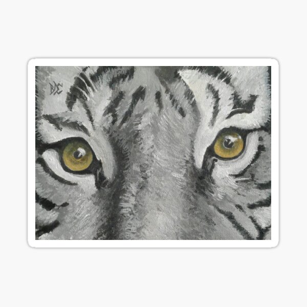 "Tiger Eyes" Sticker for Sale by Bdcfineart | Redbubble
