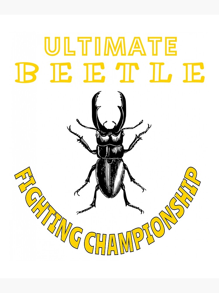 "Ultimate Beetle Fighting Championships Insect Fighting Hercules ...