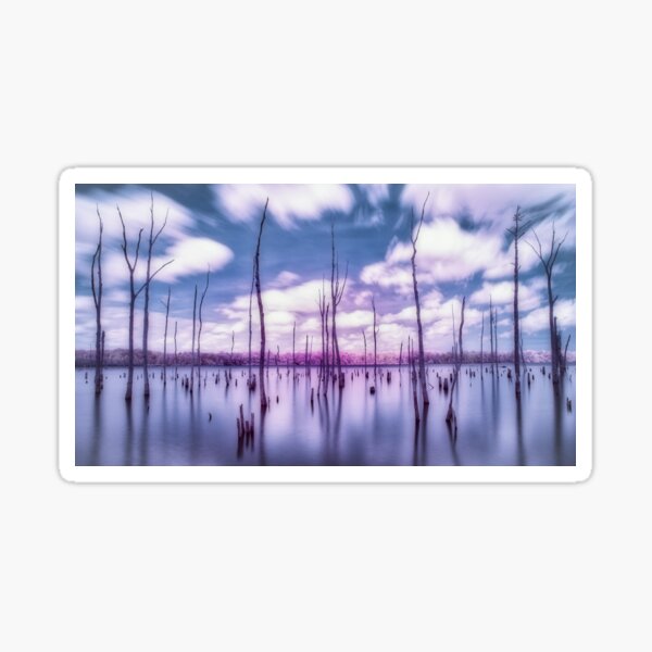 "Emerging Trees Infrared Color" Sticker for Sale by jforno | Redbubble