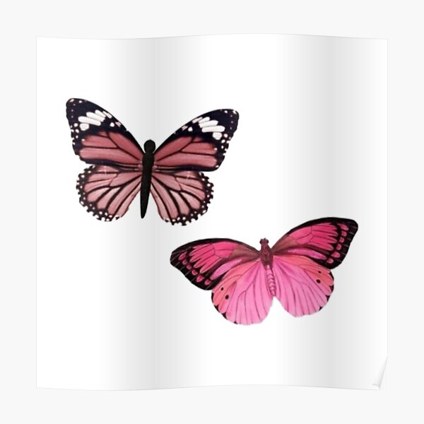 Pink Butterfly Posters | Redbubble
