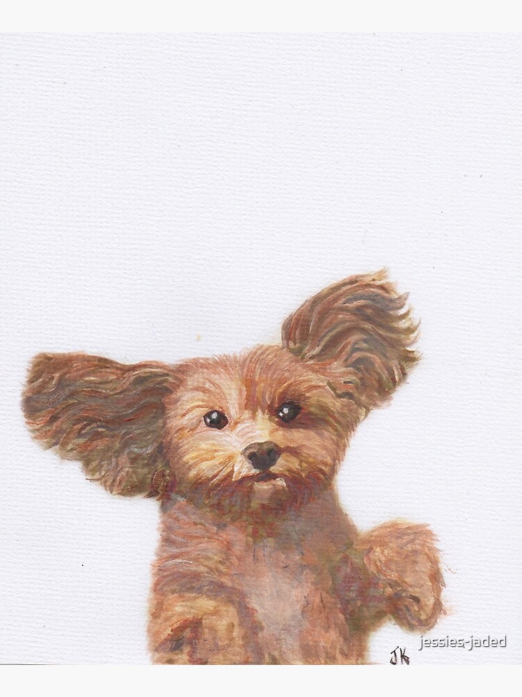 "Paint me like one of your French dogs - Cavoodle - Cavalier Poodle ...