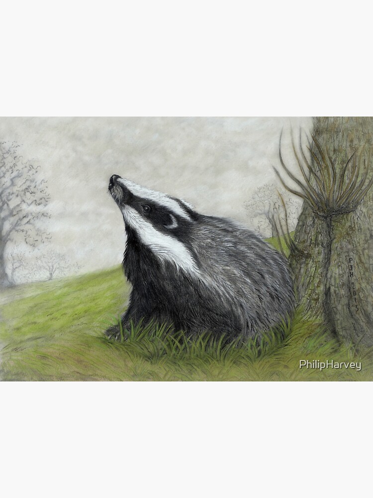 "Misty Morning Badger" Sticker for Sale by PhilipHarvey | Redbubble